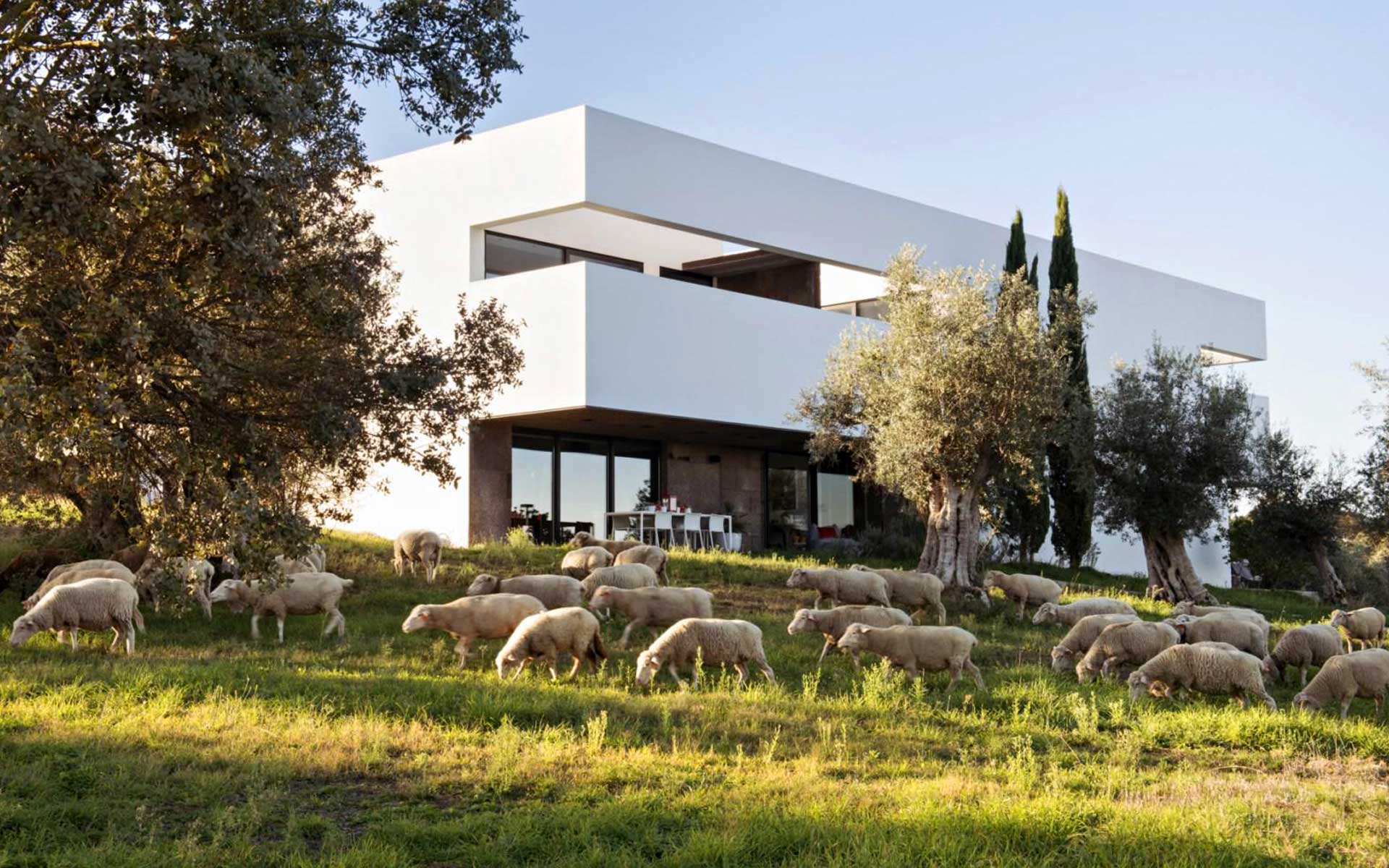 Portugal’s Cutting-Edge Countryside Hotels — by Tablet Hotels